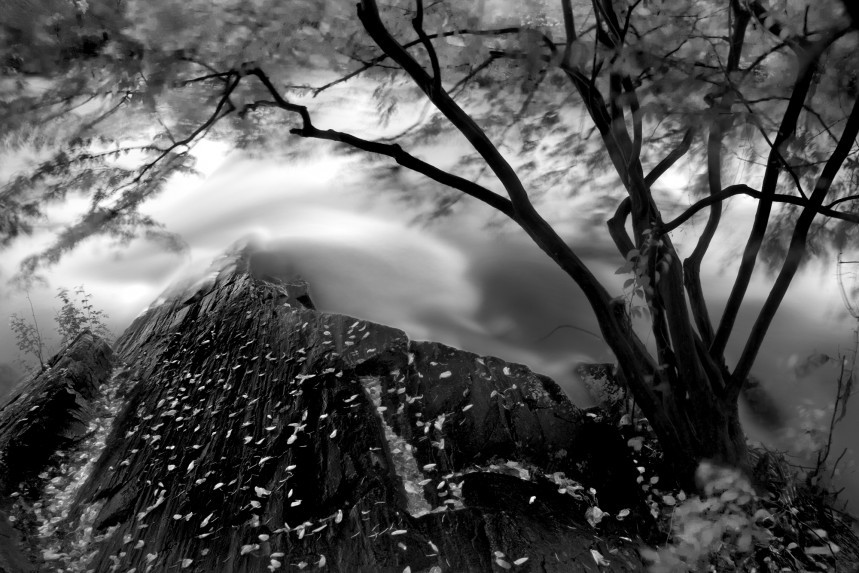 favorites - Cole Thompson Photography