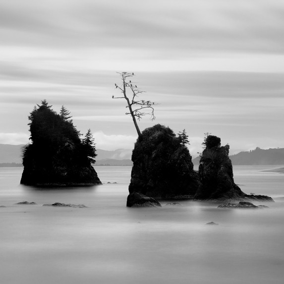 Isolated - Cole Thompson Photography