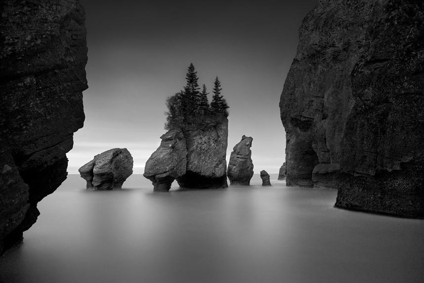 Isolated - Cole Thompson Photography