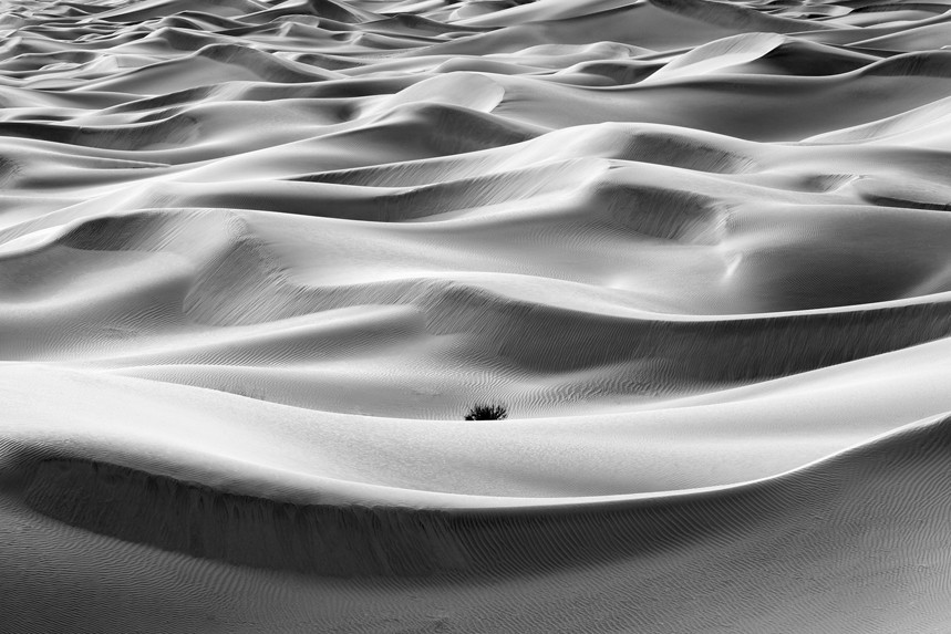 Isolated - Cole Thompson Photography