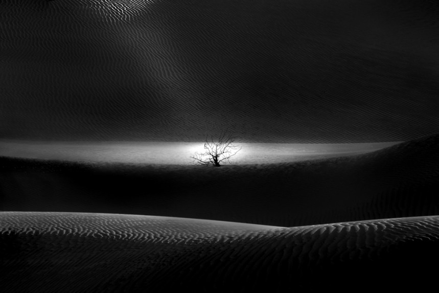 Isolated - Cole Thompson Photography