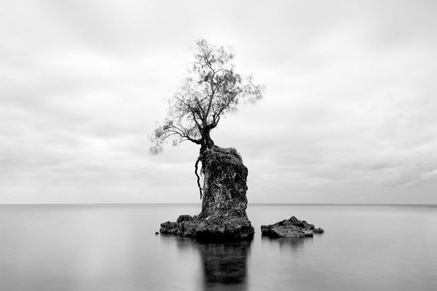 Isolated - Cole Thompson Photography