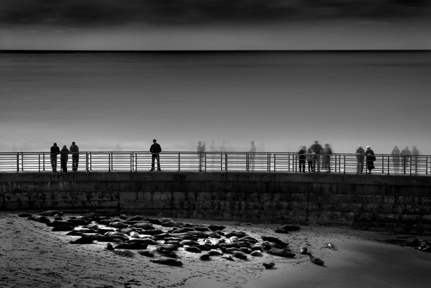 la jolla - Cole Thompson Photography