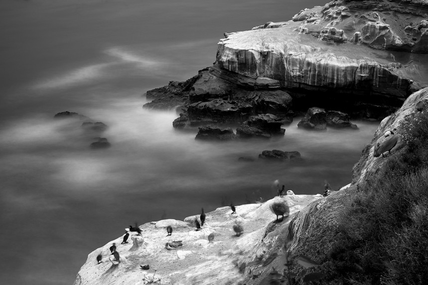 la jolla - Cole Thompson Photography