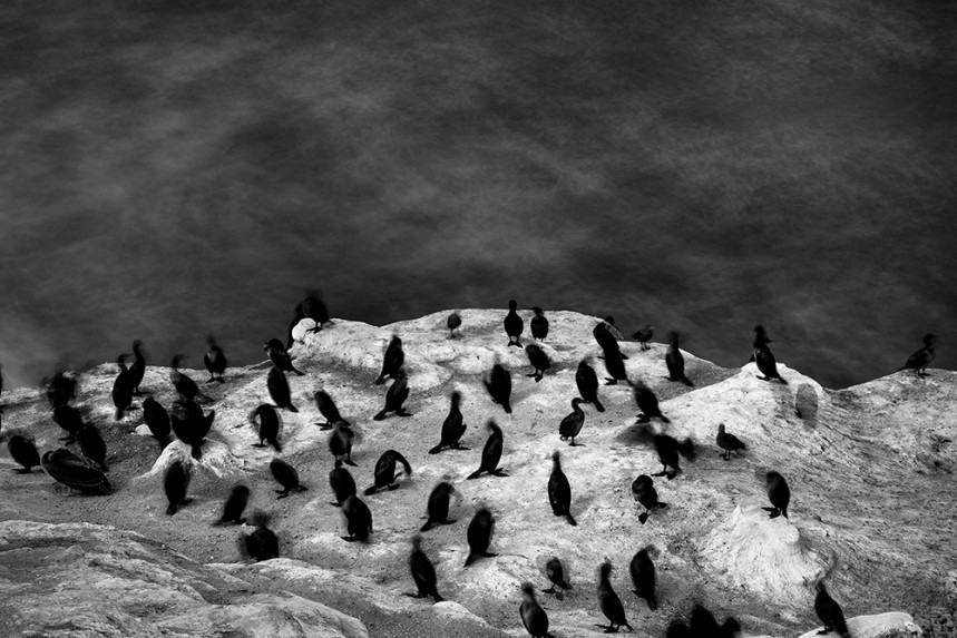 la jolla - Cole Thompson Photography