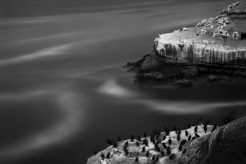 la jolla - Cole Thompson Photography