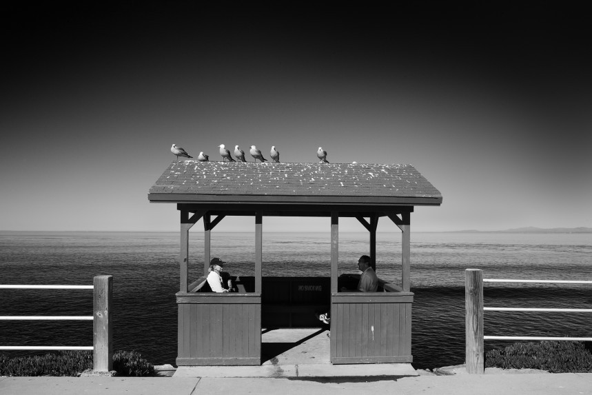 misfits - Cole Thompson Photography