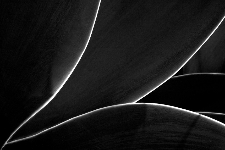 Simple - Cole Thompson Photography