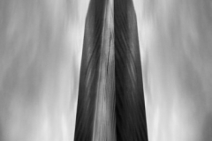 The Fountainhead - Cole Thompson Photography