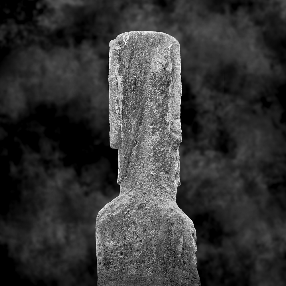 Moai, Sitting for Portrait - Cole Thompson Photography