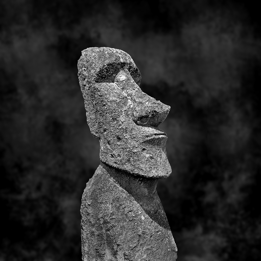 Moai, Sitting for Portrait - Cole Thompson Photography