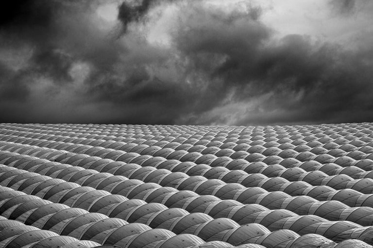 Black & White Fine Art Photography Blog | Cole Thompson Photography