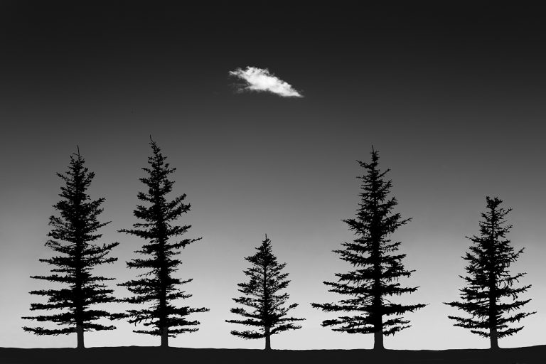 Black & White Fine Art Photography Blog | Cole Thompson Photography